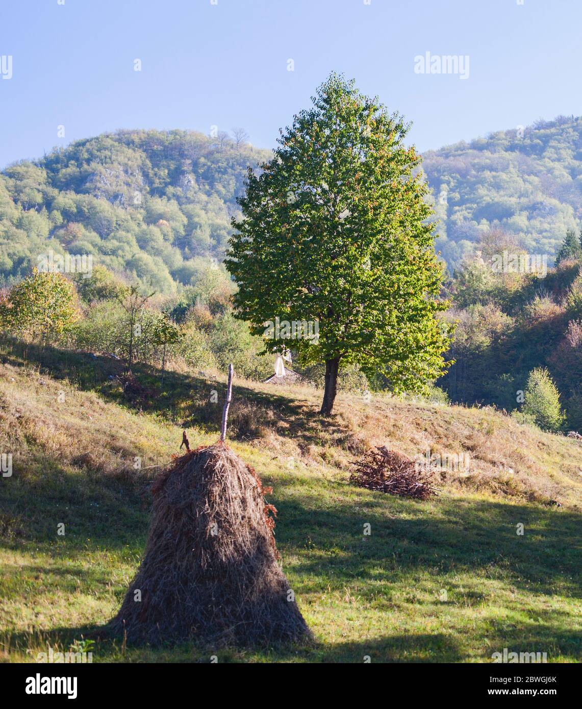Rural autumn landscape. Traditional haystack in the fields. Beautiful ...