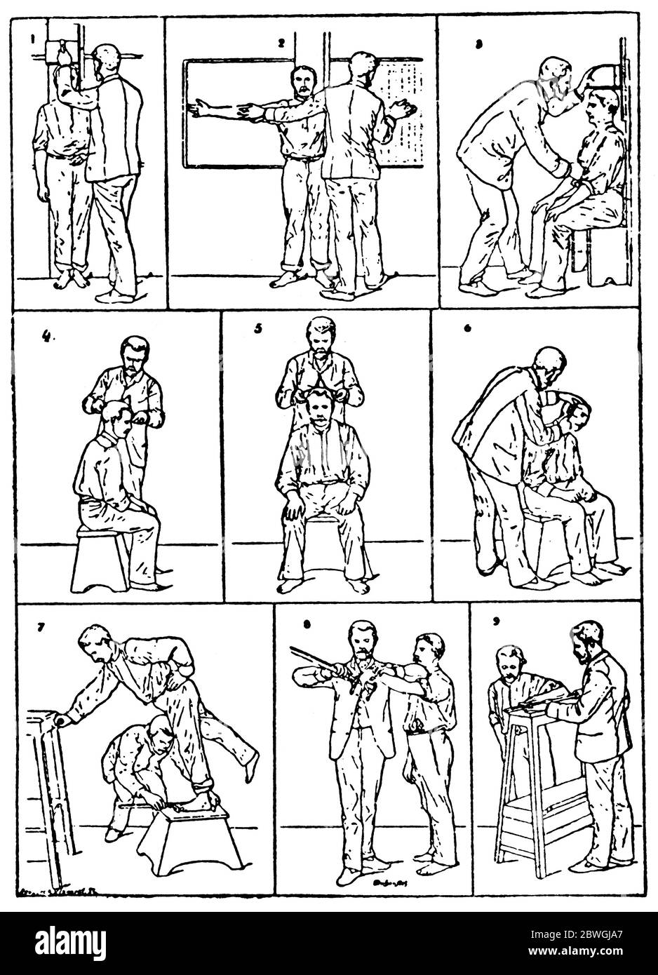 The different types of anthropometric measurement. Illustration of the ...