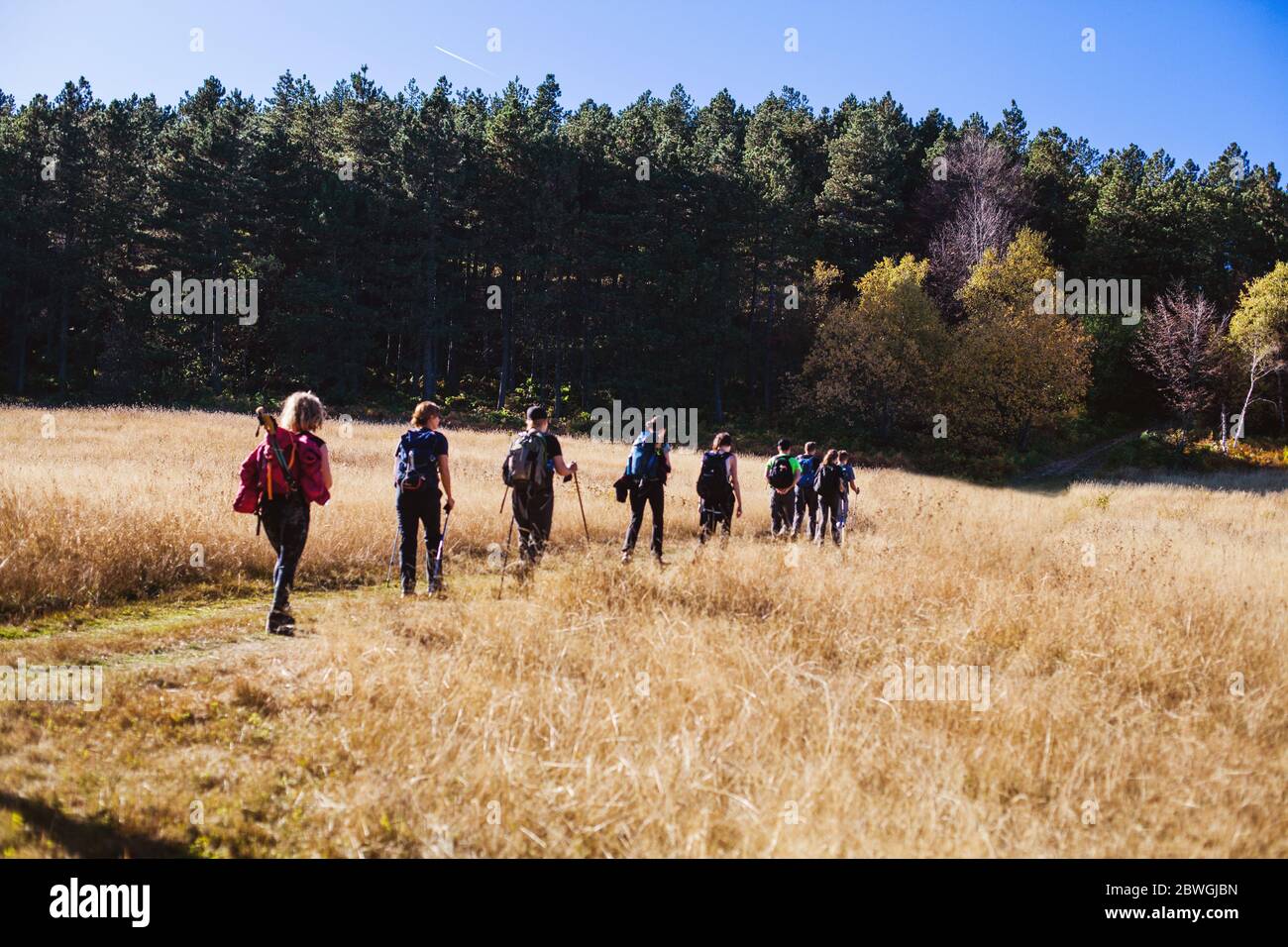 Group of people hiking on a rural landscape on an autumn day ...