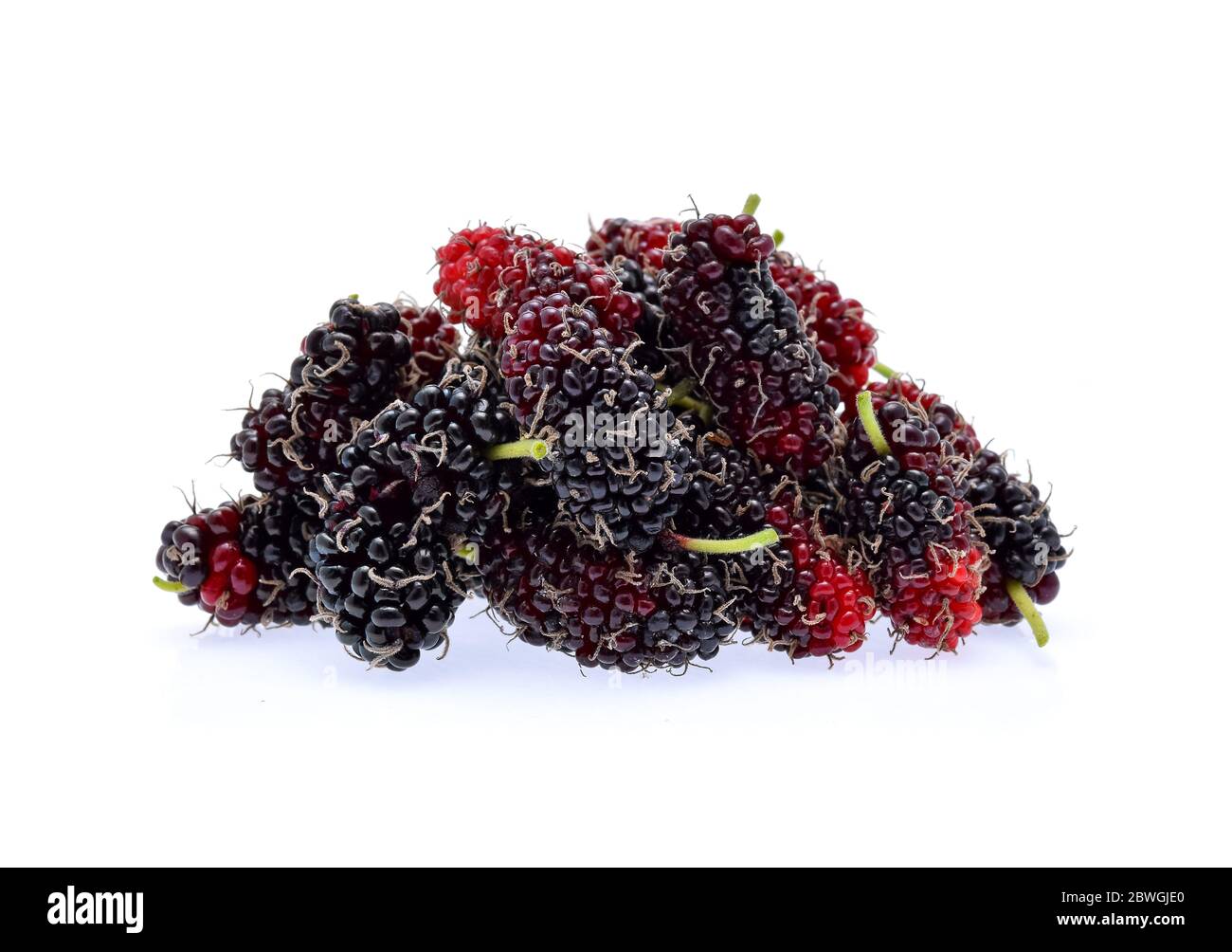 Mulberry isolated on white background Stock Photo - Alamy