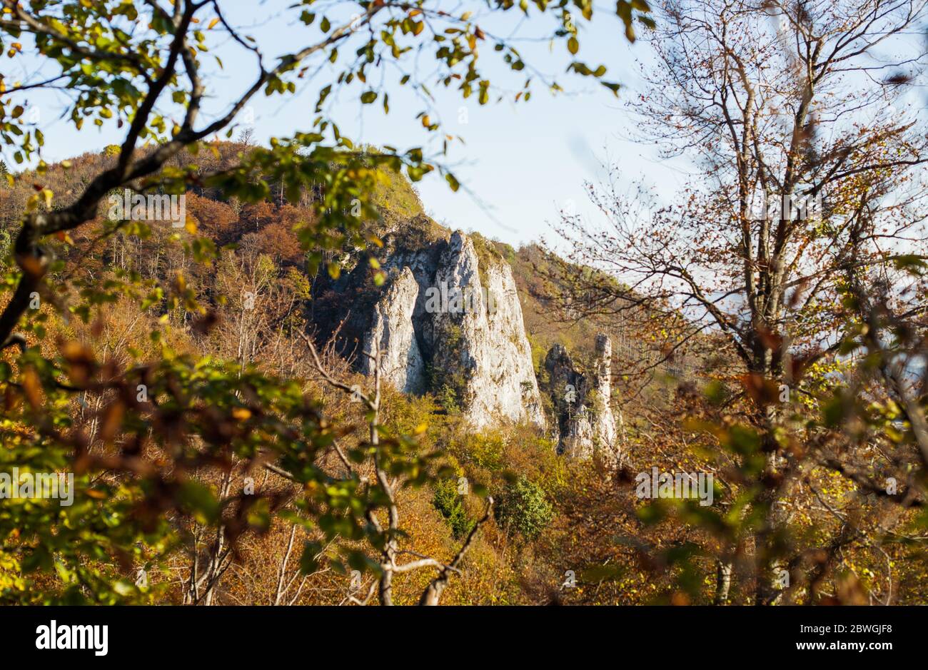 Nature landscape, beautiful view on rock peaks and forest. Natural ...