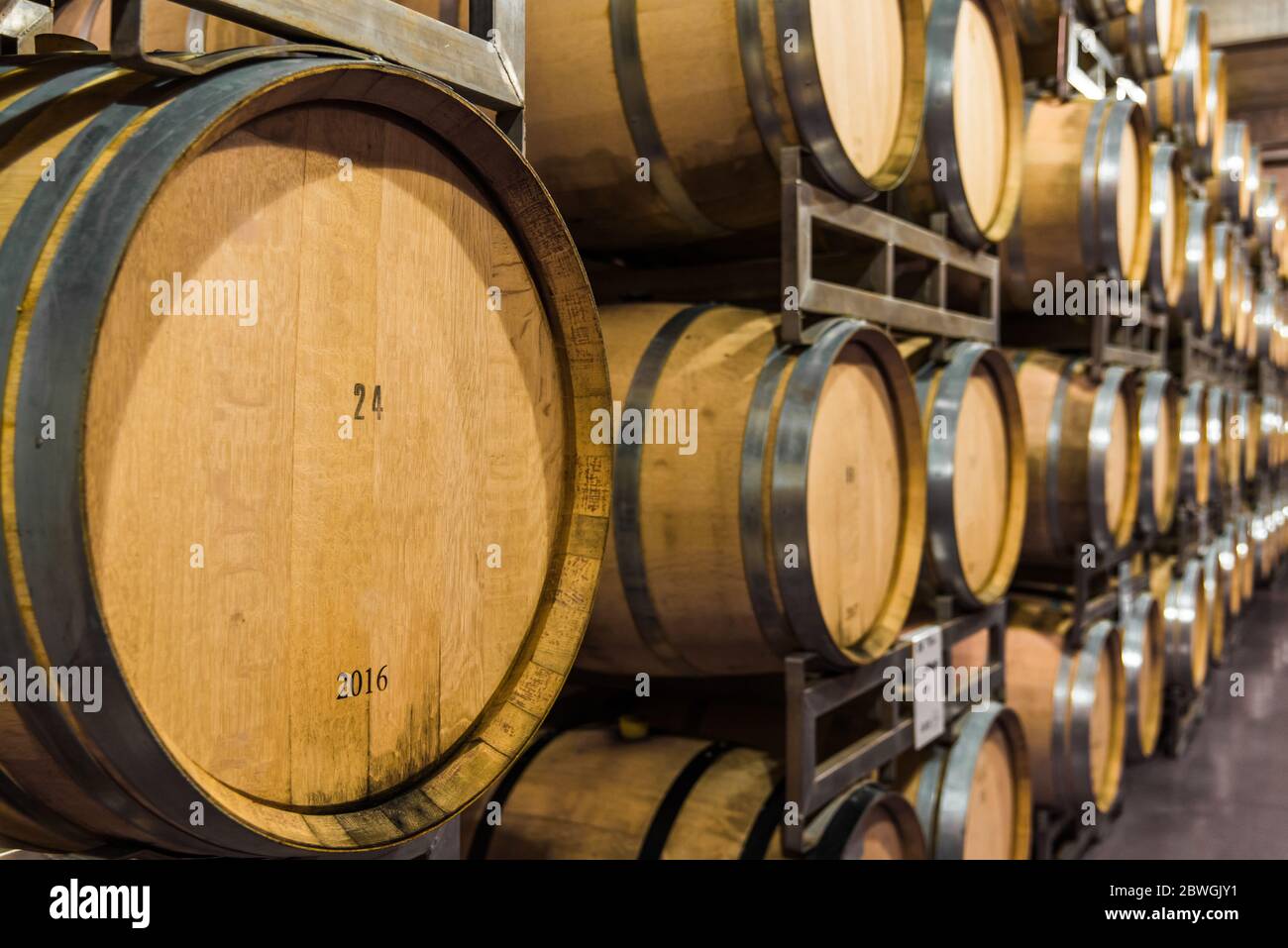 Oak wine barrels for wine fermentation at a winery Stock Photo - Alamy