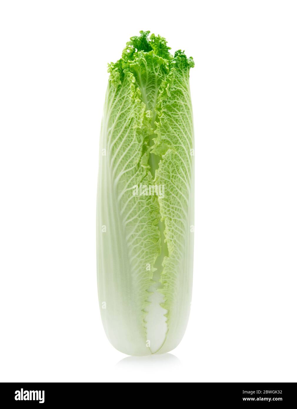 Chinese cabbage-Michilli isolated on white background Stock Photo - Alamy