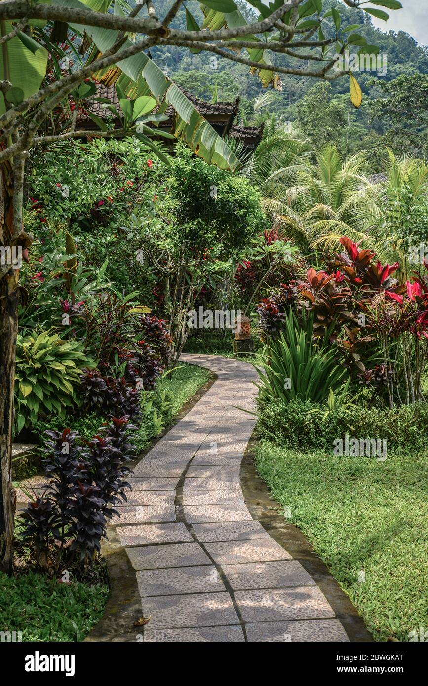 Path in the garden at summer day on Bali, Indonesia Stock Photo - Alamy