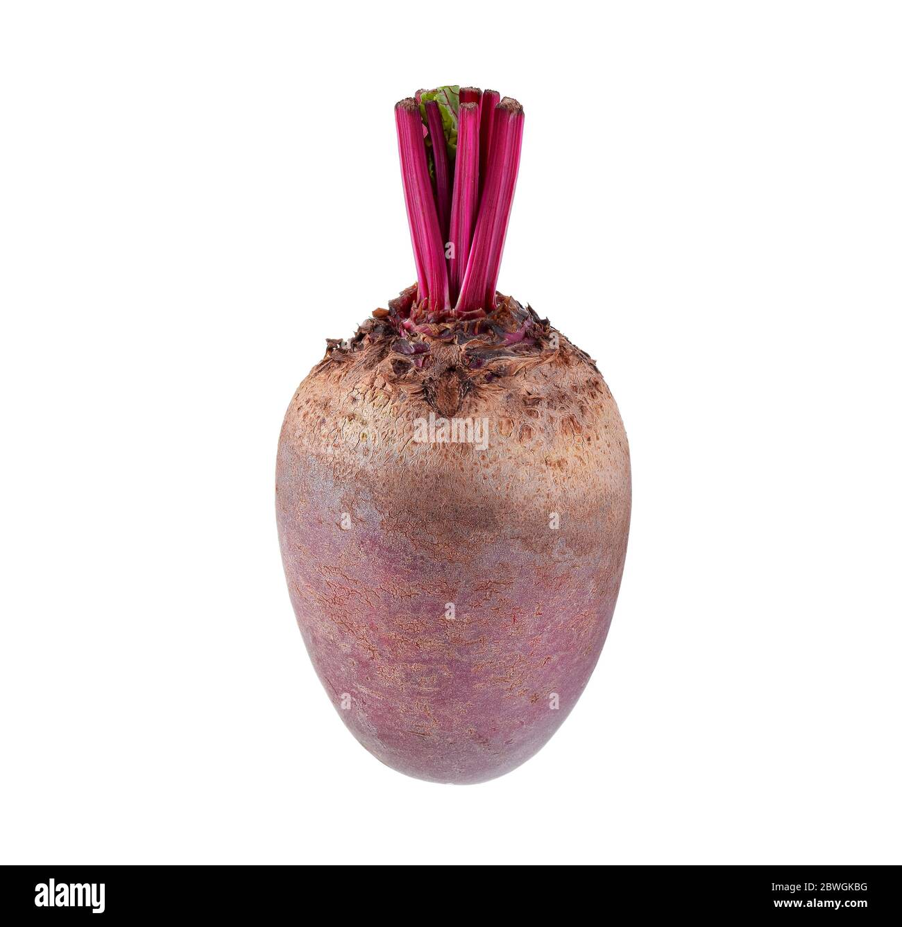 beetroot isolated on white background Stock Photo - Alamy