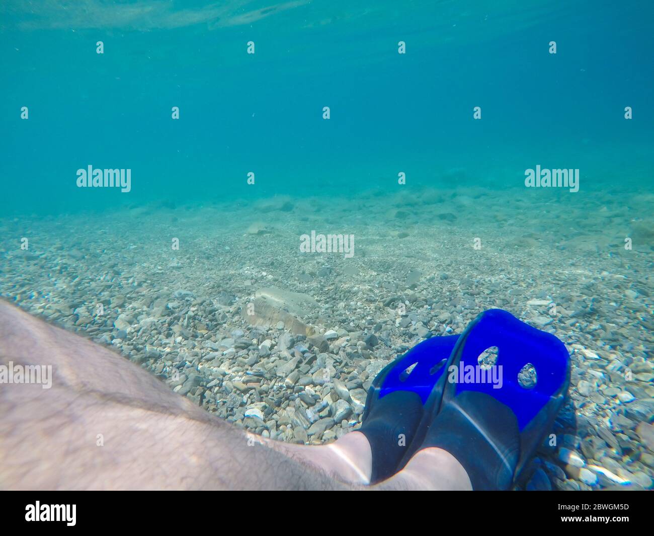 Underwater photo of male legs with blue fins Stock Photo - Alamy