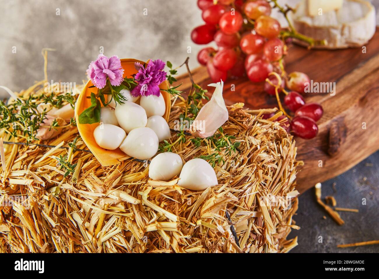 Baby mozzarella cheese on a hay with garlic and grapes on a gray-blue ...