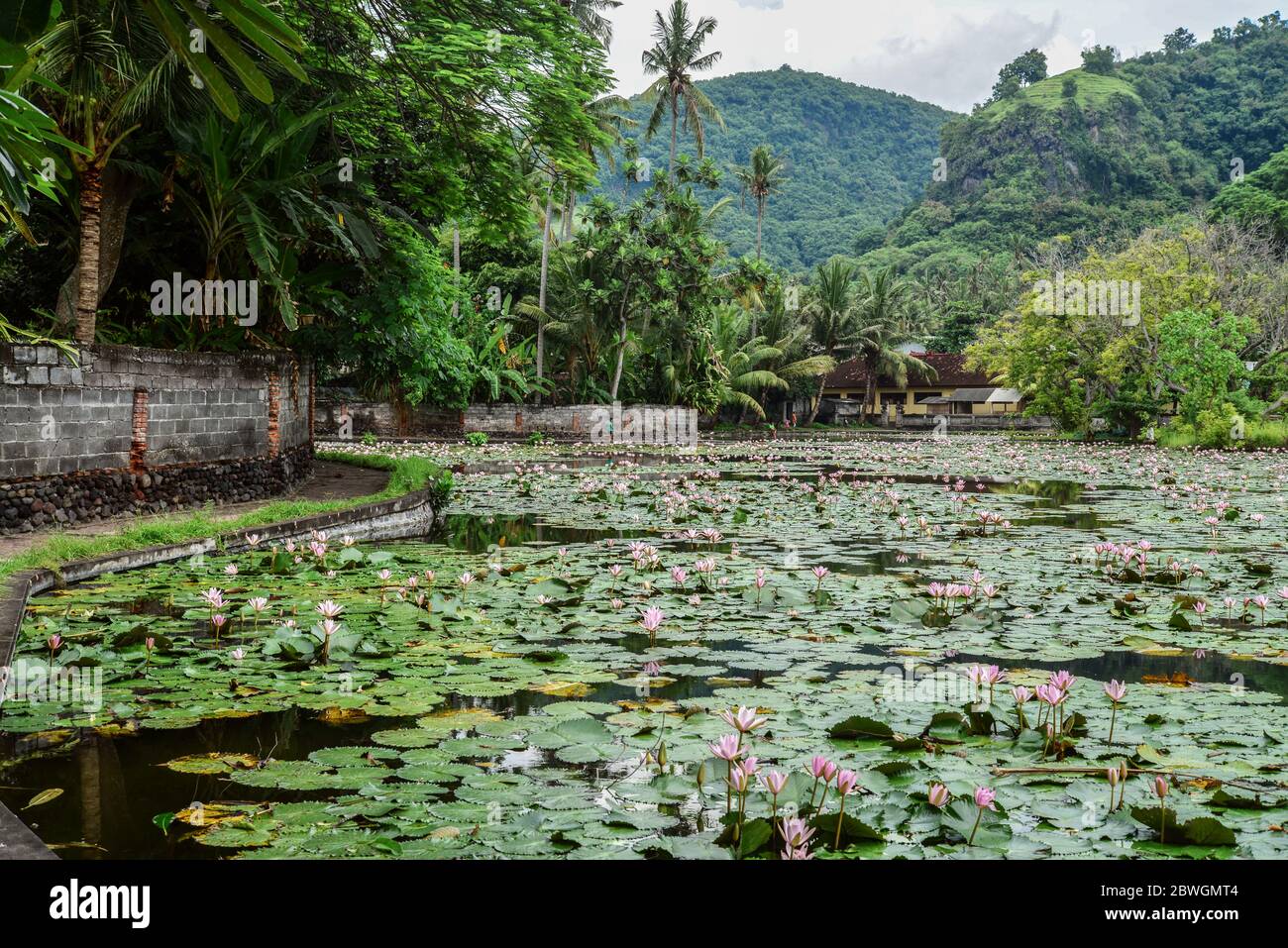 Tropical Lagoons Bali