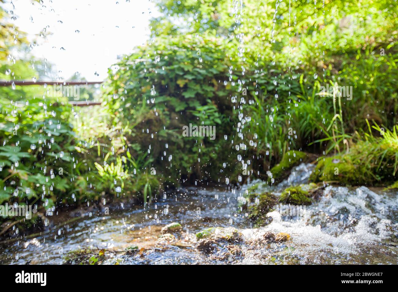 Water drops over forest stream and sunlight in background on summer day ...