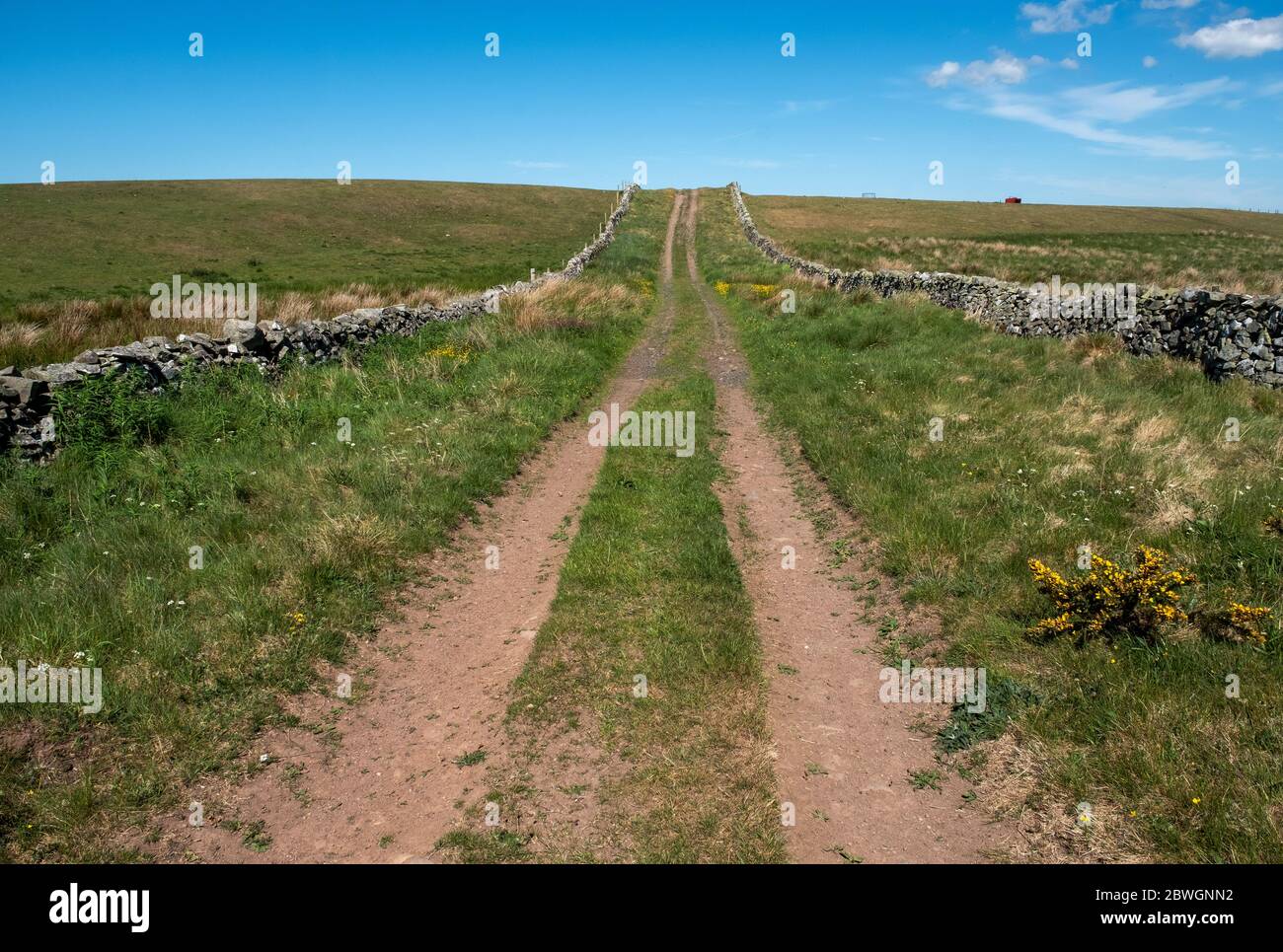 Dere st hi-res stock photography and images - Alamy