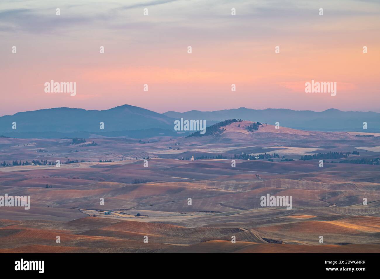 Washington State Palouse Fields in Autumn at Sunset Stock Photo - Alamy