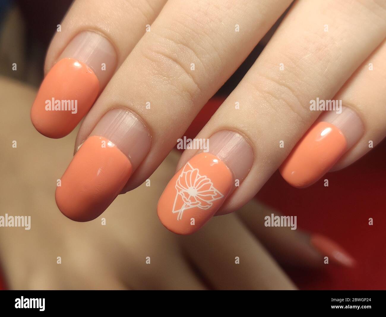 Female hand with regrowth shellac manicure in two months after ...