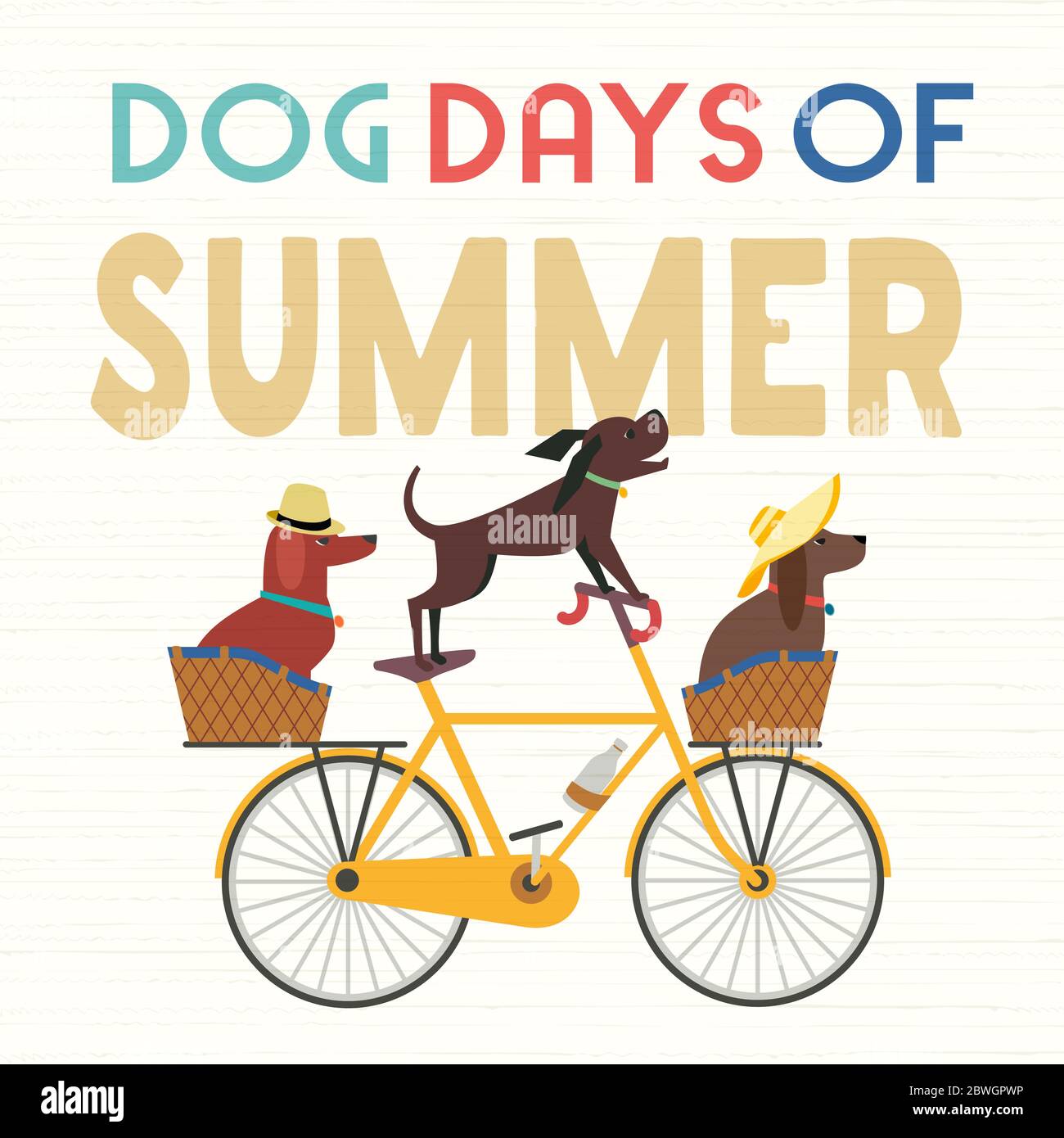 Dog days Summer Time. Cute comic cartoon Stock Vector Image & Art - Alamy