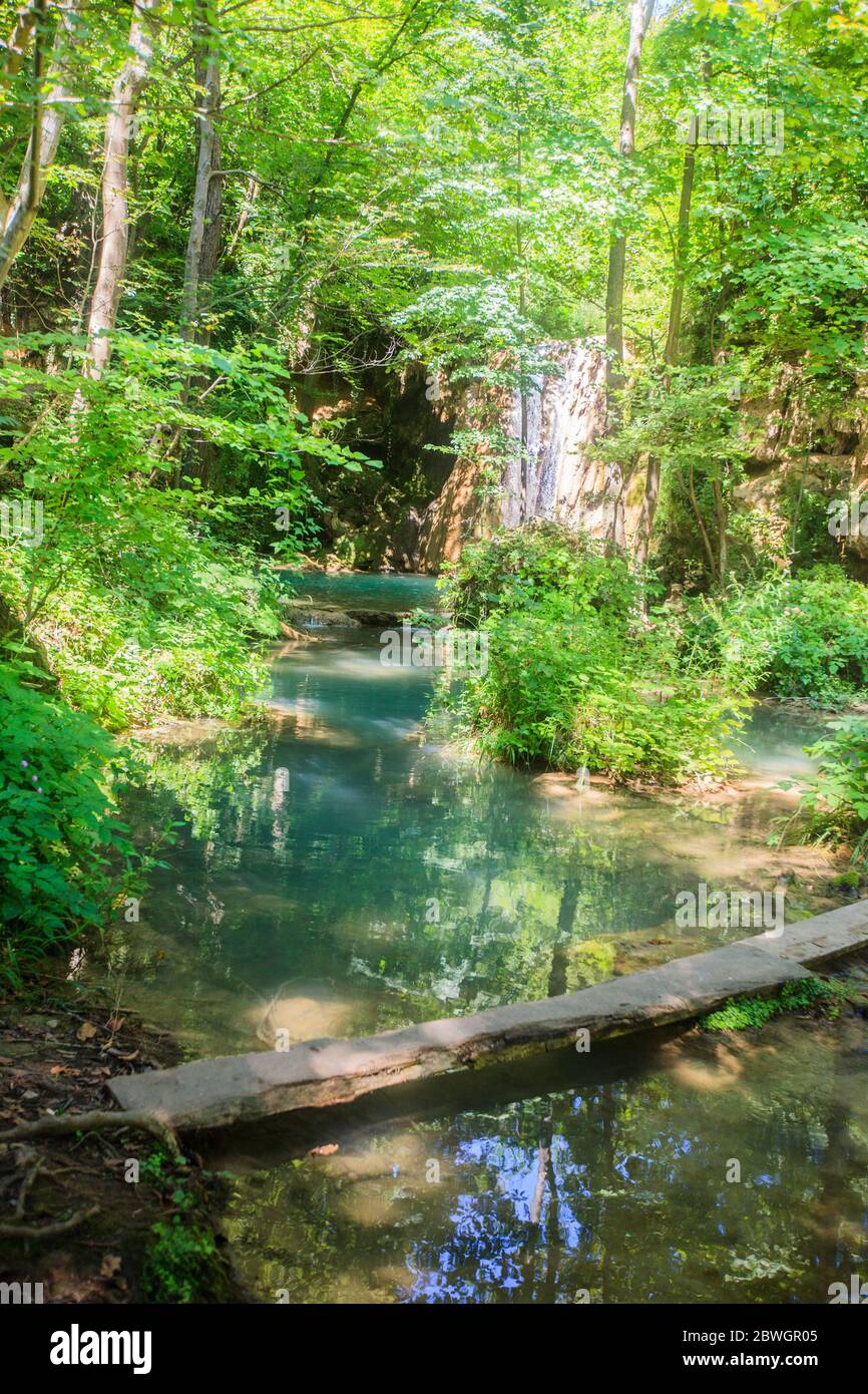 Beautiful Ponds In The Woods