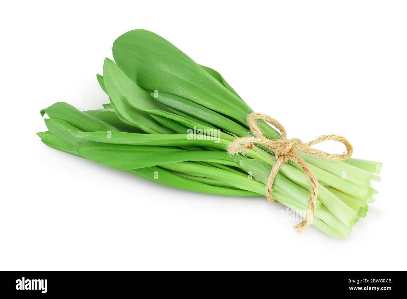 Ramson bunch vegetable isolated on white background with clipping path ...