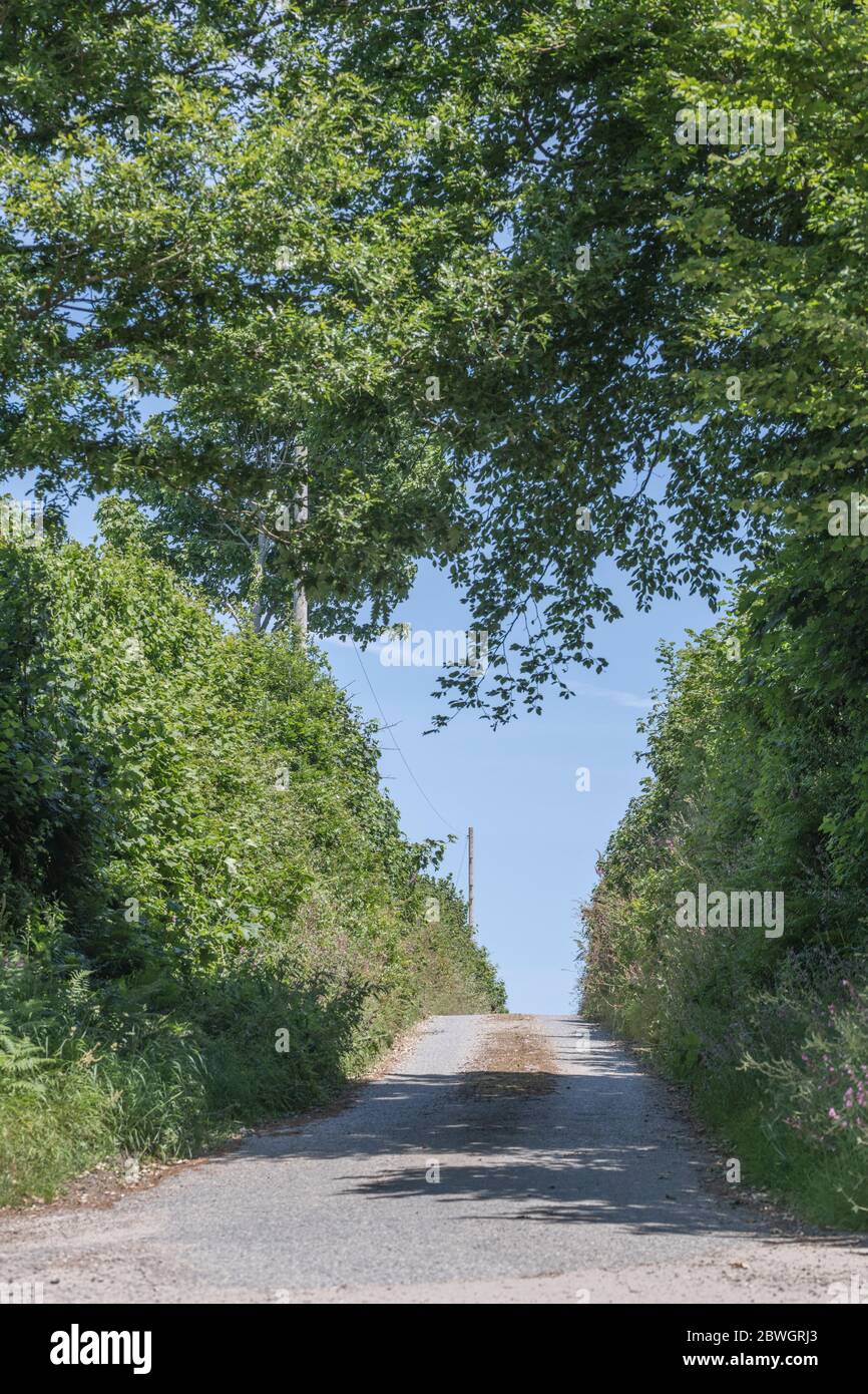 Noplace hi-res stock photography and images - Alamy