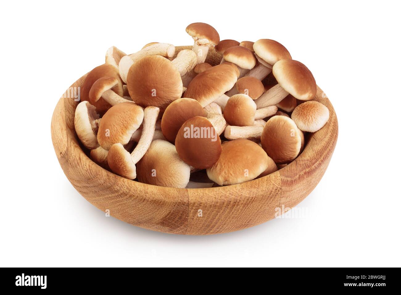 honey fungus mushrooms in wooden bowl isolated on white background with ...