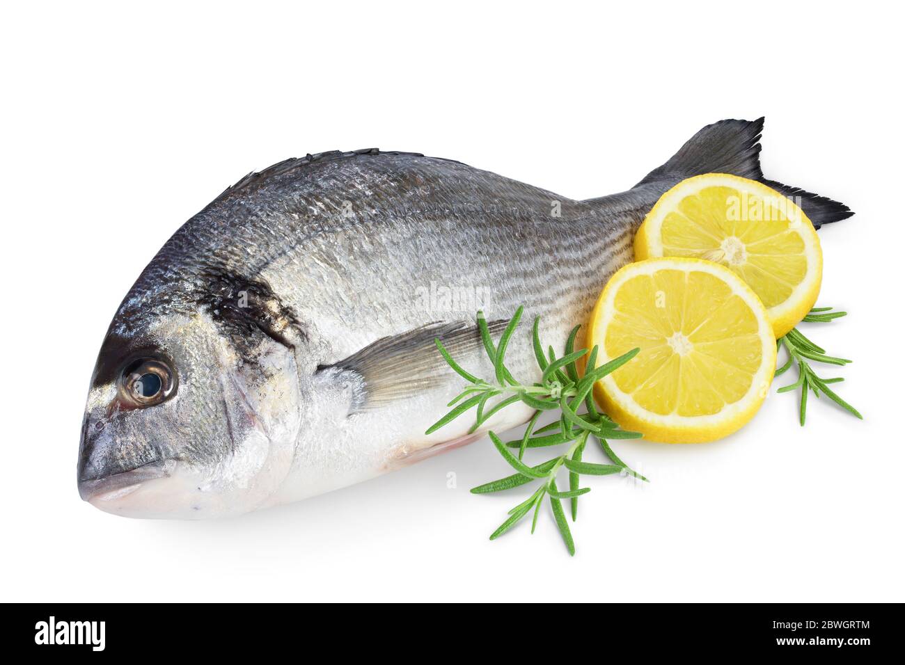 Fish dorado isolated on white background with clipping path and full ...