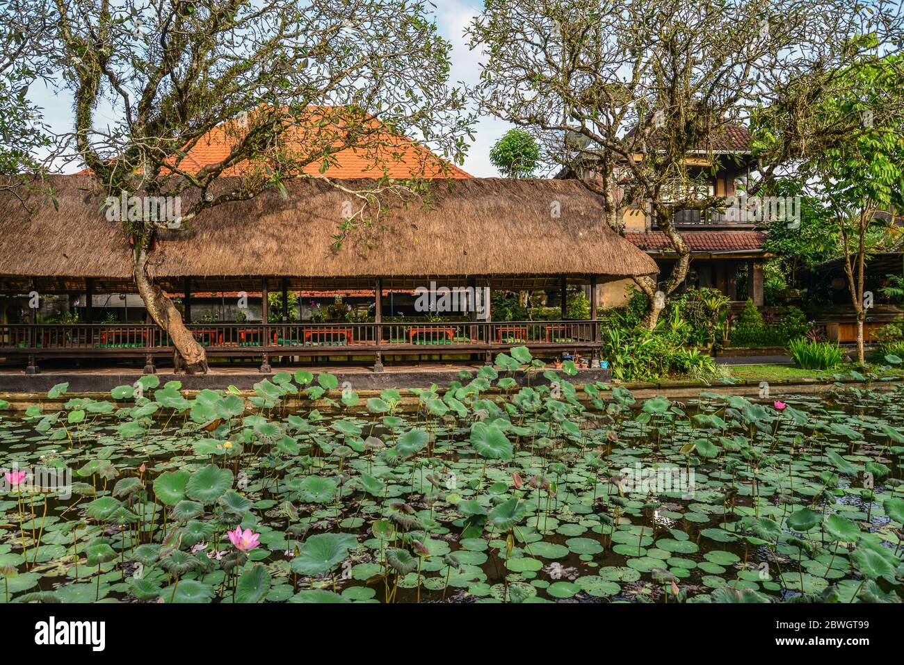 Empty cafe and pond with lotus near Pura Taman Kemuda Saraswati Temple ...