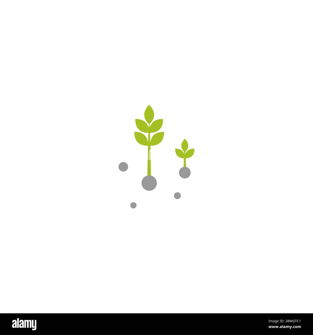 Three Green sprouts, sprigs, raw with leaves and seeds. Icon Isolated ...