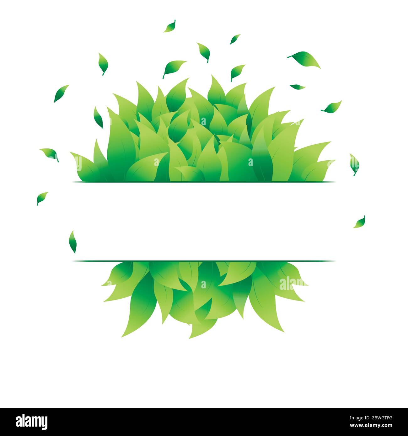 Text shape with green leaves. Text box. Floral frame on white ...