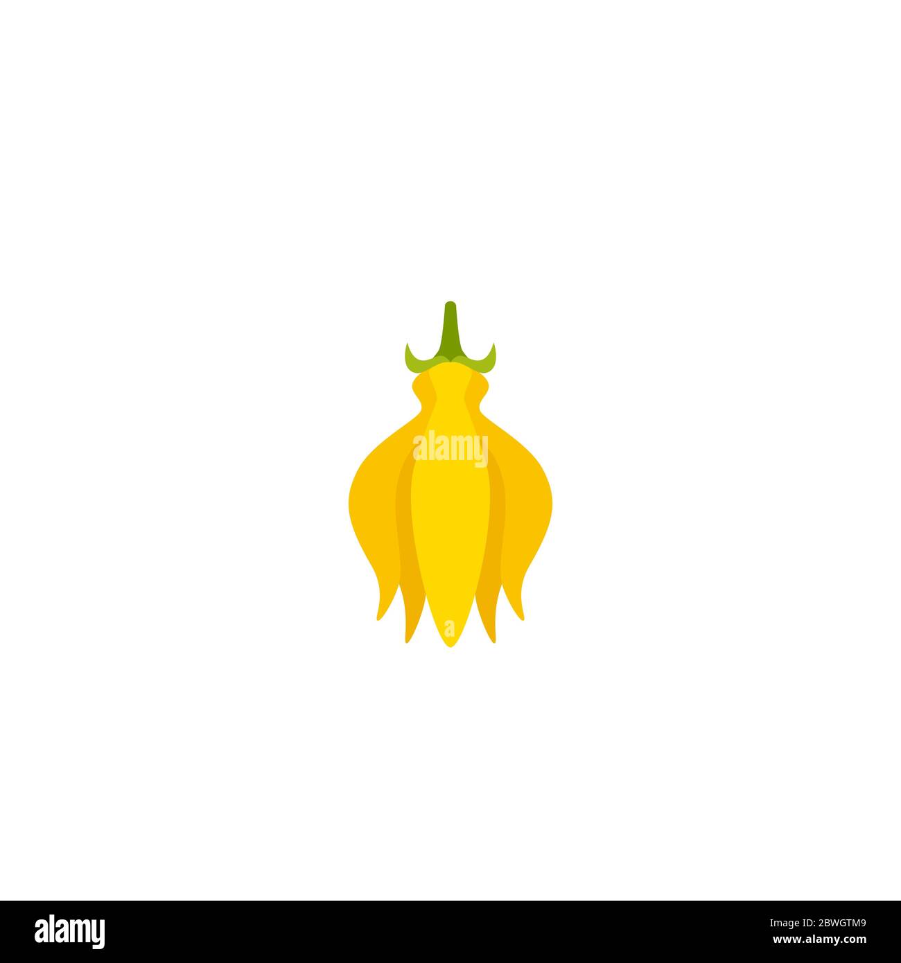 Ilang ilang Stock Vector Images - Alamy