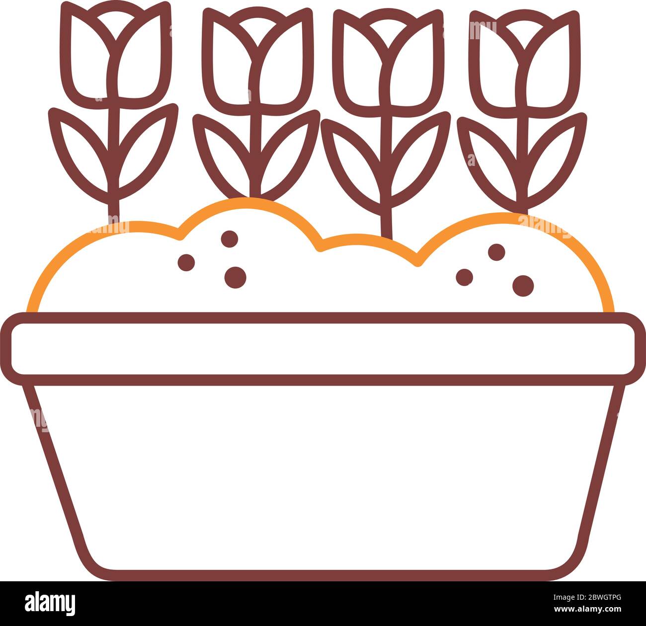 Plant inside pot line hi-res stock photography and images - Alamy