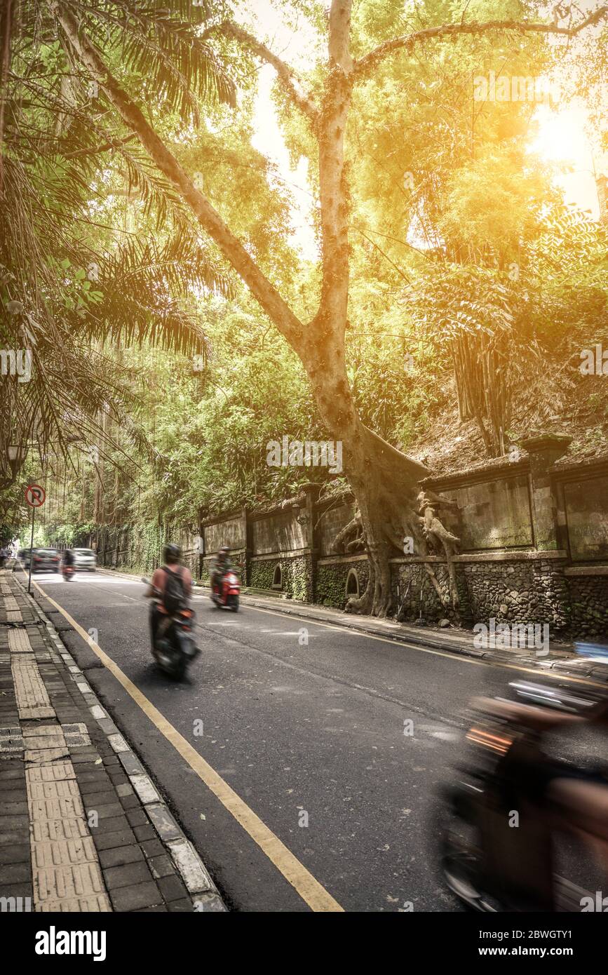Curving street through Ubud town, Bali, Indonesia with a motorcyclist ...