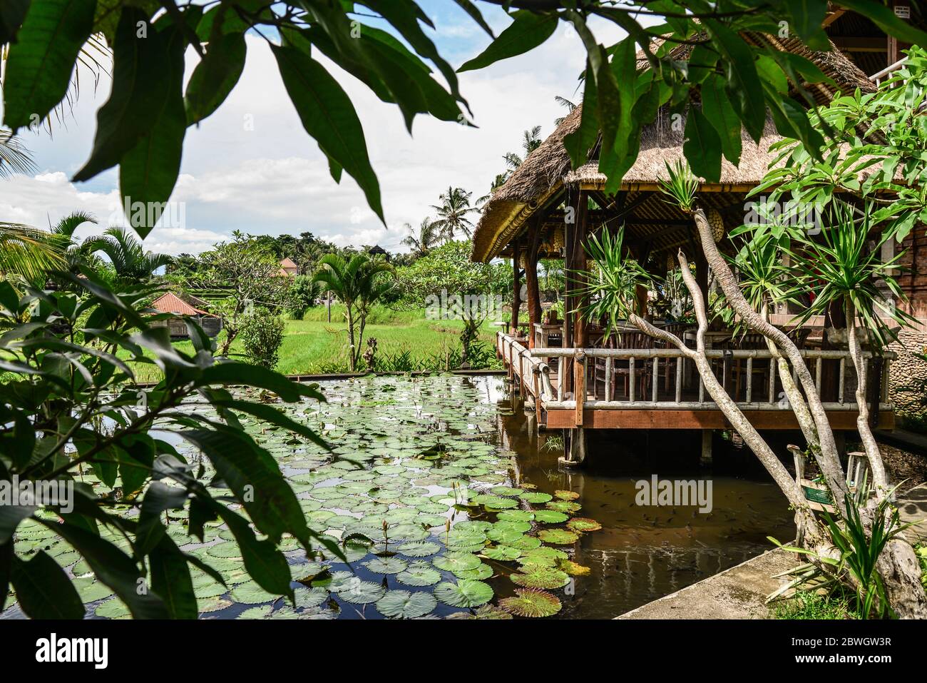 Traditional Balinese cafe near the lotus pond in Ubud, Indonesia Stock ...