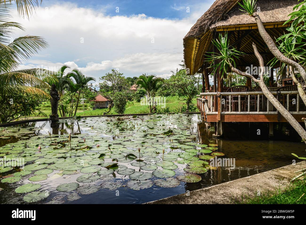 Traditional Balinese cafe near the lotus pond in Ubud, Indonesia Stock ...