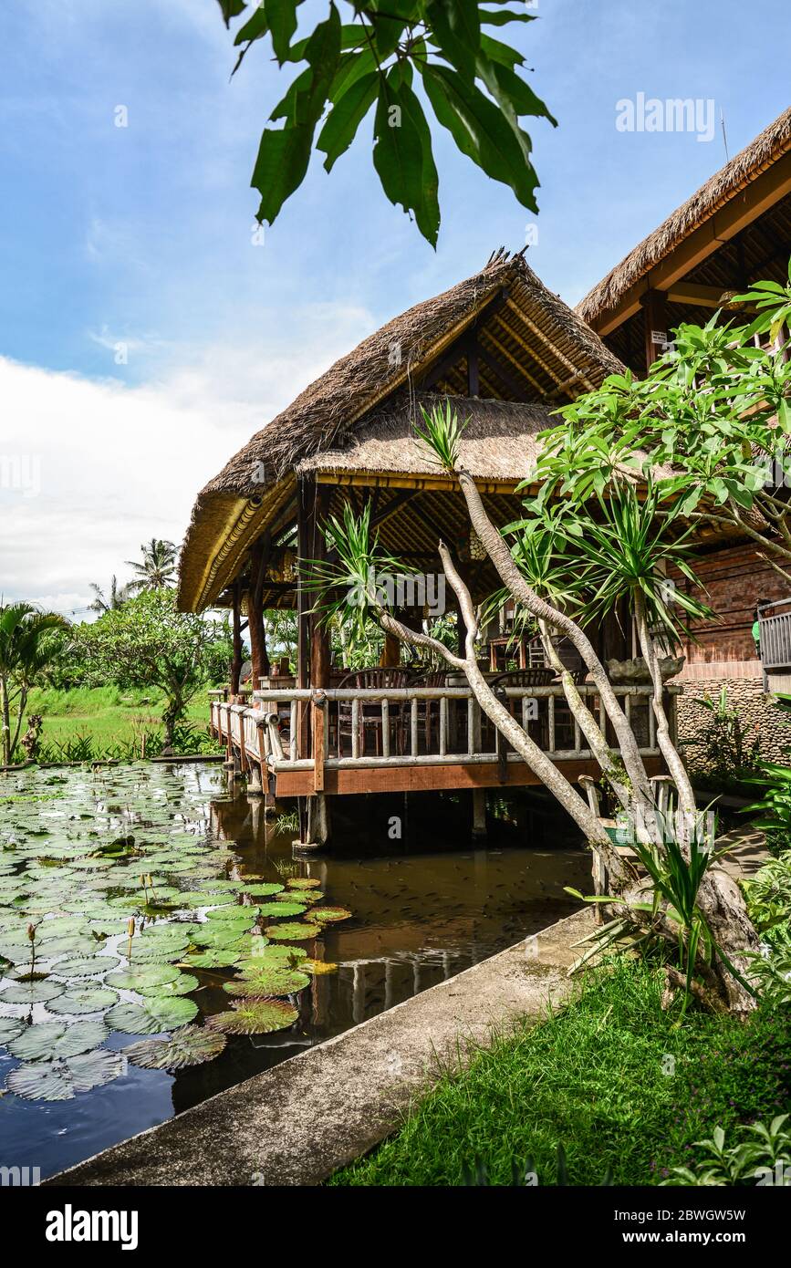 Traditional Balinese cafe near the lotus pond in Ubud, Indonesia Stock ...