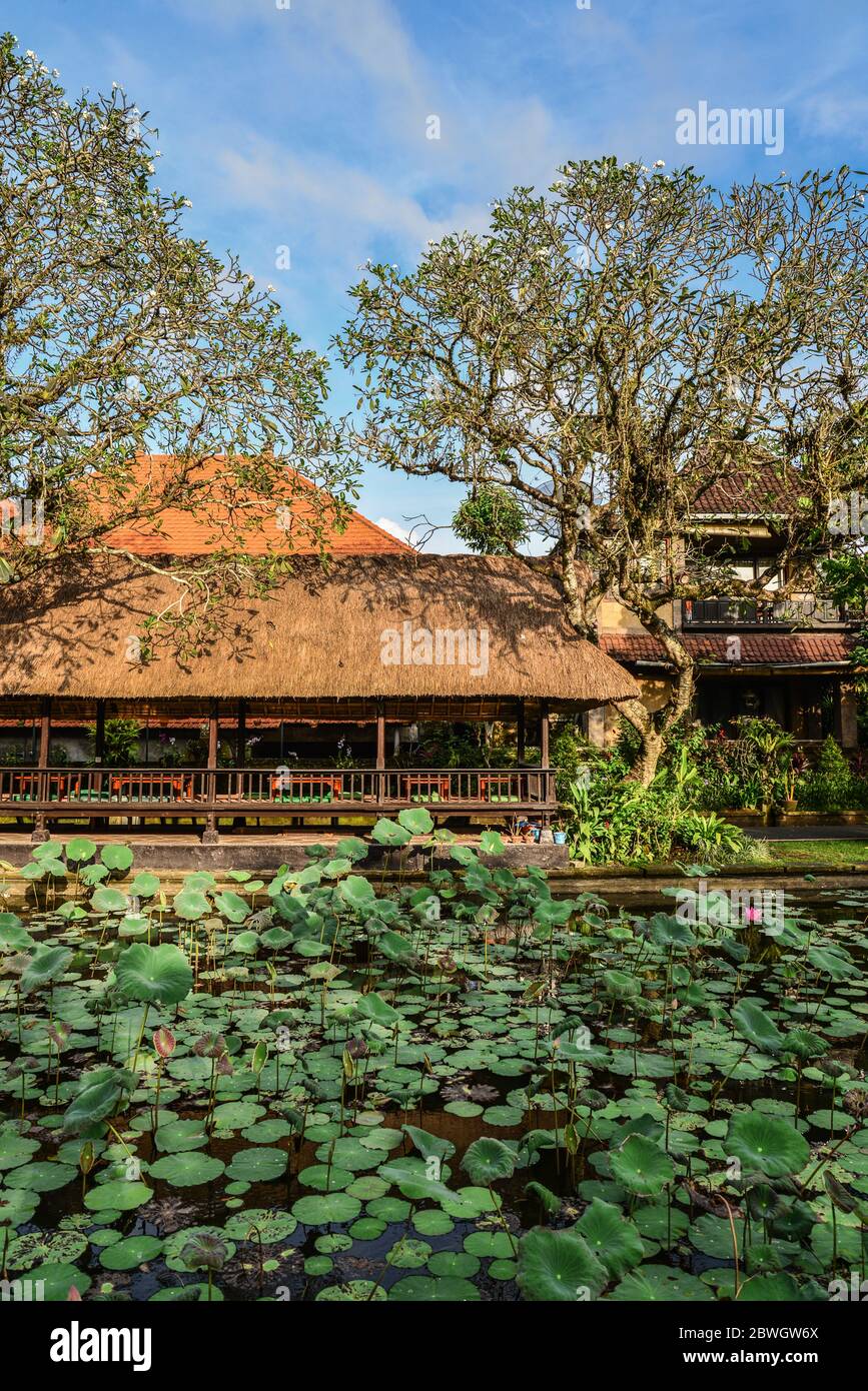 Empty cafe and pond with lotus near Pura Taman Kemuda Saraswati Temple ...