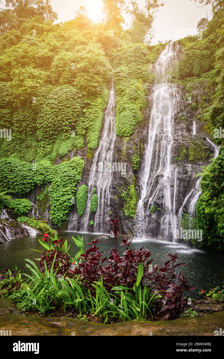 Jungle waterfall cascade in tropical rainforest with rock and turquoise ...