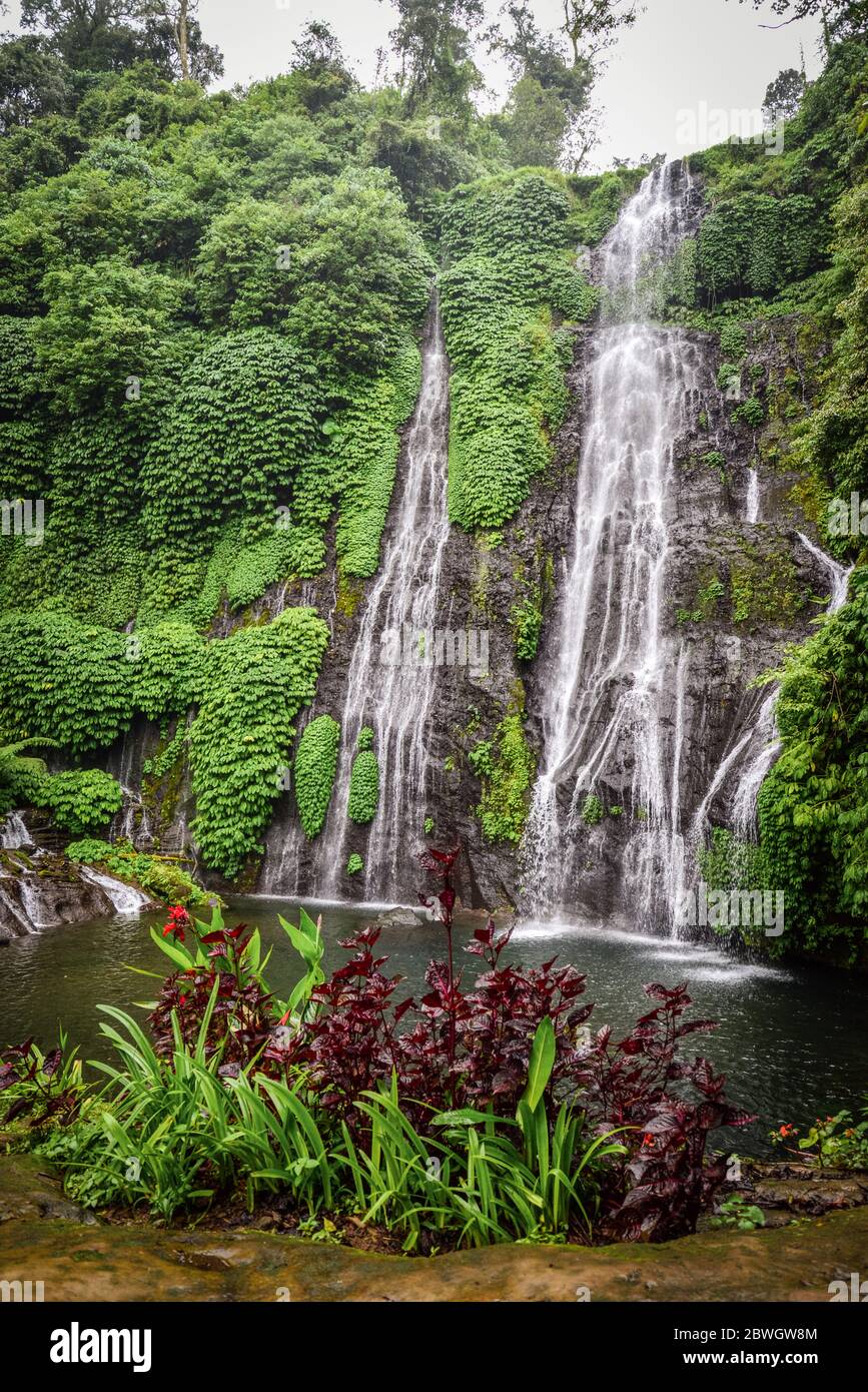 Jungle waterfall cascade in tropical rainforest with rock and turquoise ...