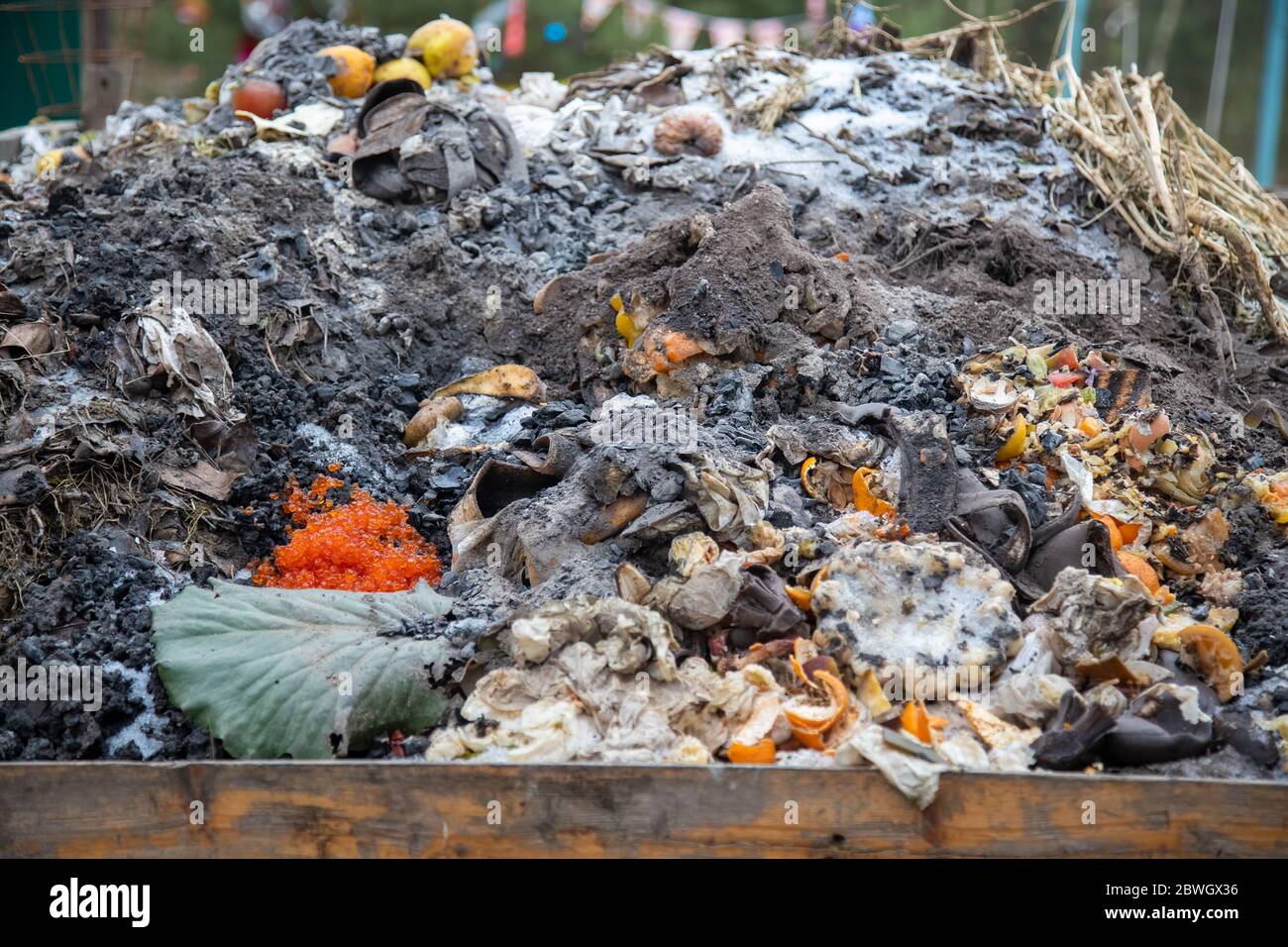 Spoiled fish hi-res stock photography and images - Alamy