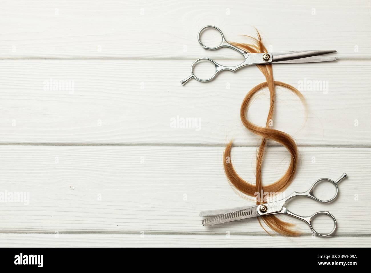 Dollar sign made of curl hair. Expensive hairstyle or hairdresser ...