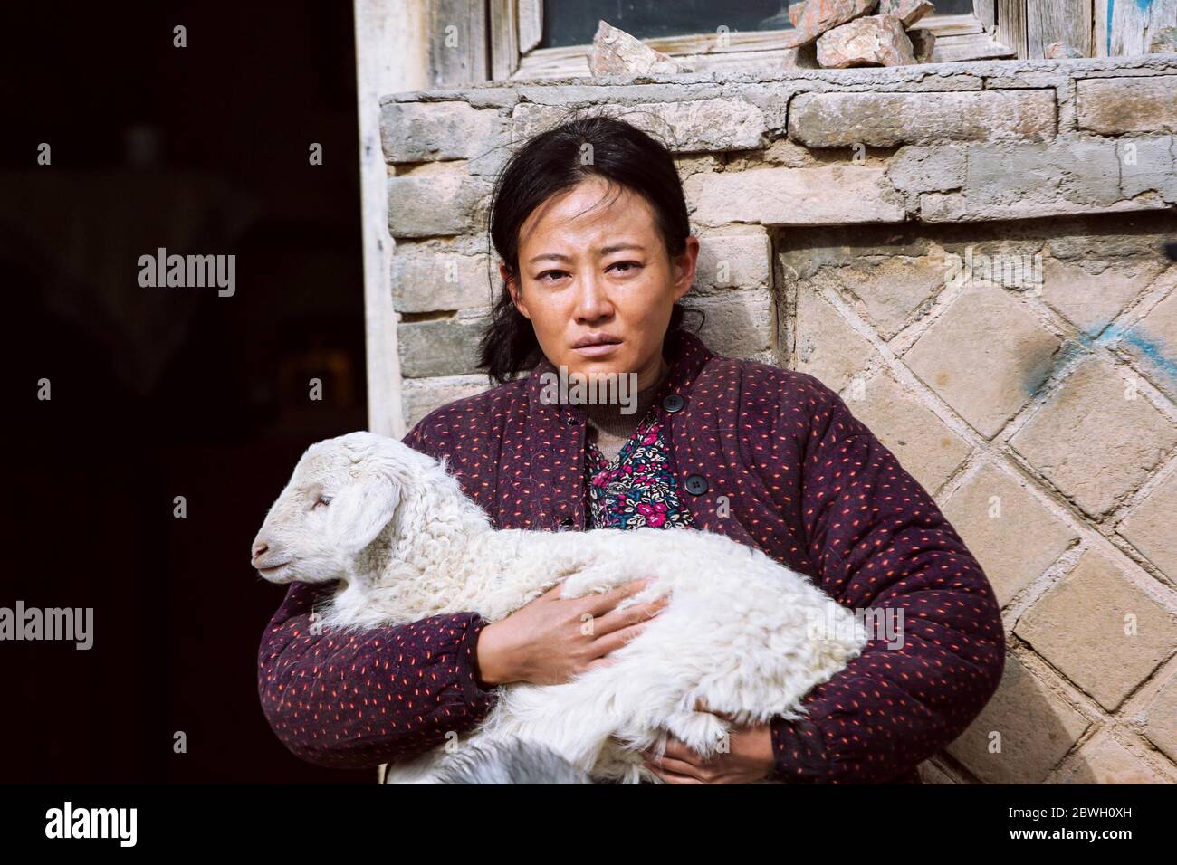 WRATH OF SILENCE, (aka BAO LIE WU SHENG), TAN Zhuo, 2017. © Bingchi ...