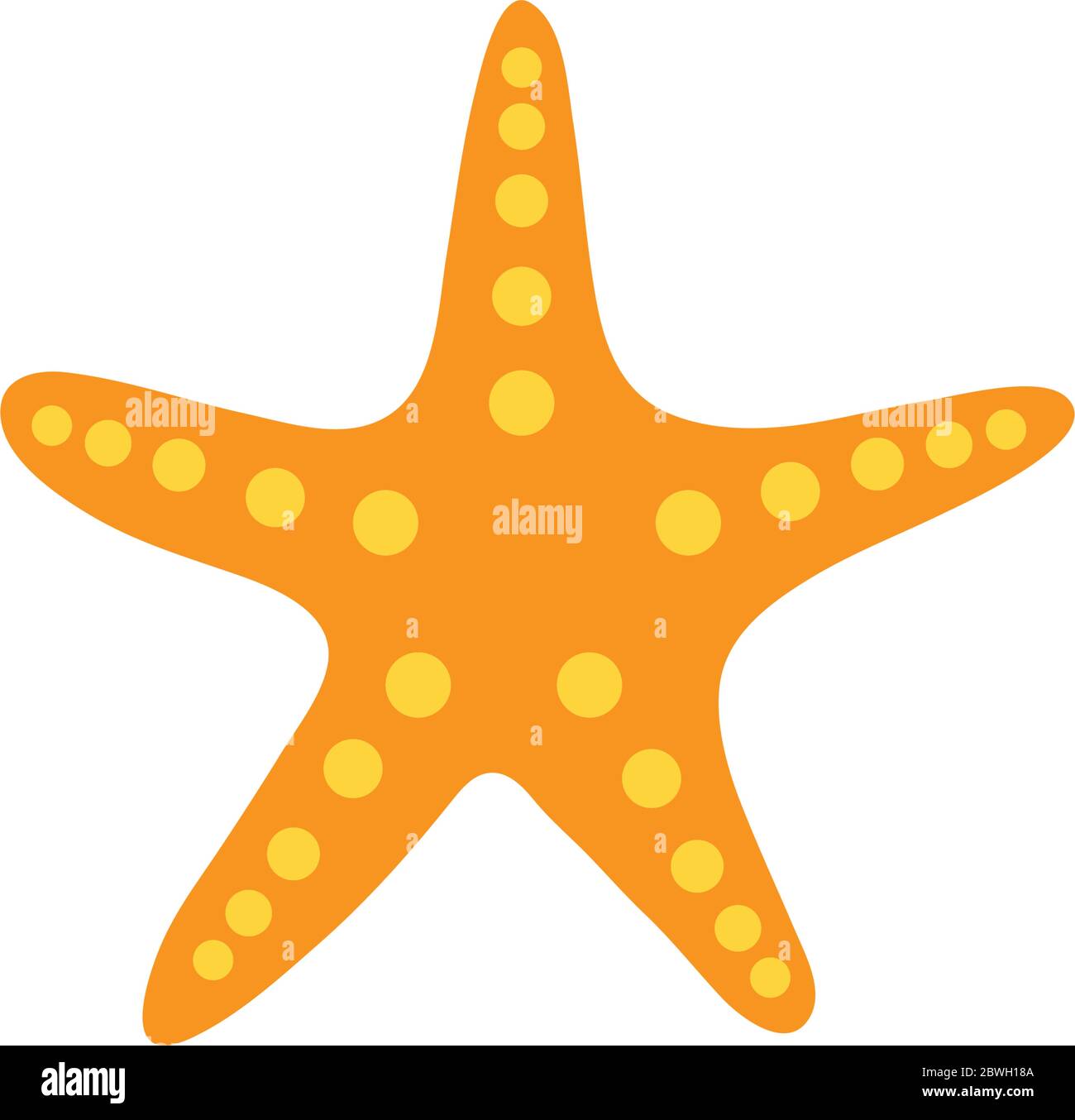 Starfish Icon