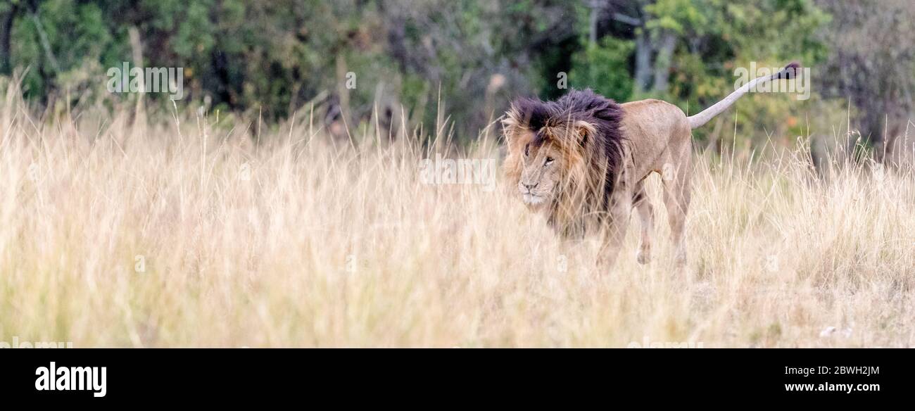 Africa horizontal hi-res stock photography and images - Alamy