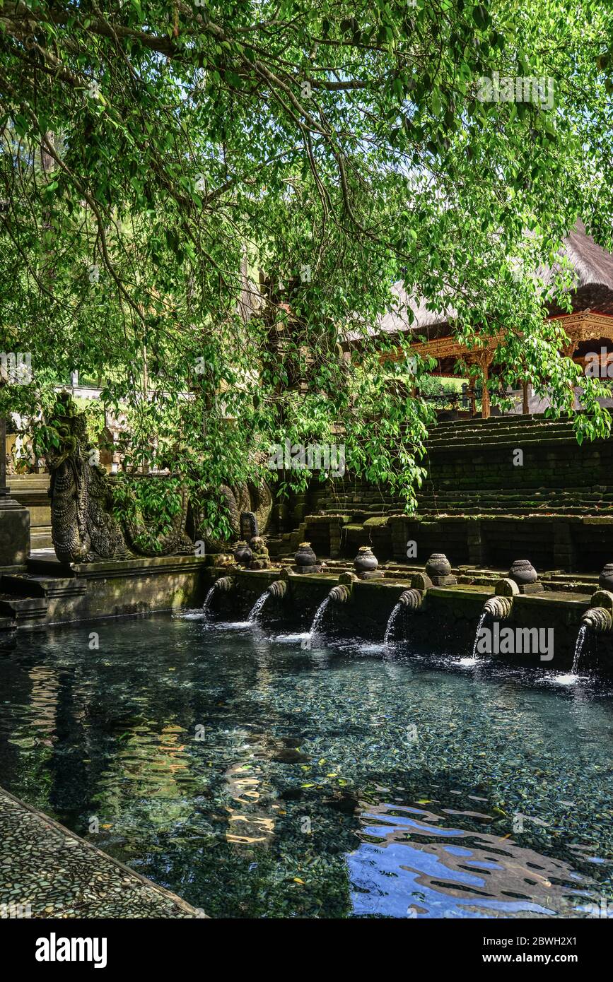 Hinduism bali female praying hi-res stock photography and images - Alamy