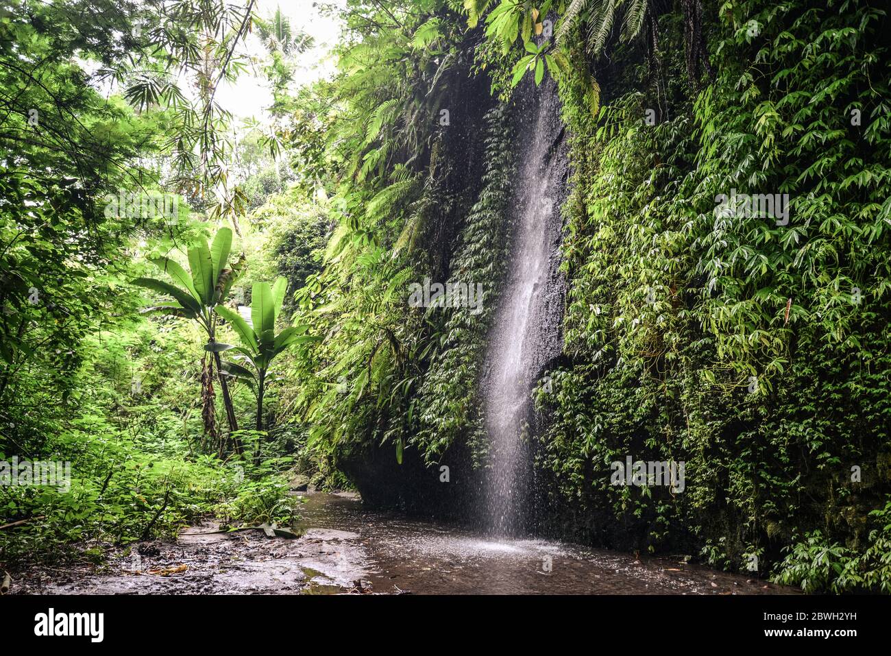 View at Tukad Cepung waterfall at Bali, Indonesia Stock Photo - Alamy