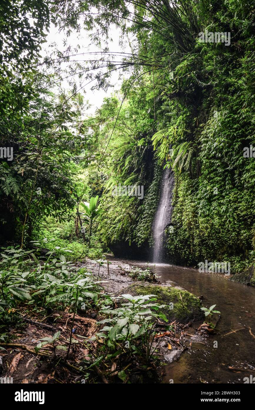 View at Tukad Cepung waterfall at Bali, Indonesia Stock Photo - Alamy