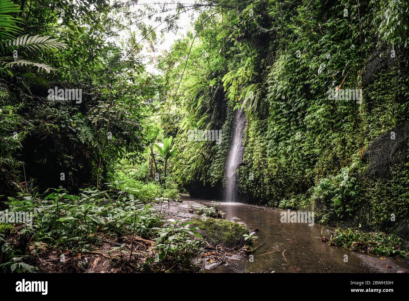 View at Tukad Cepung waterfall at Bali, Indonesia Stock Photo - Alamy