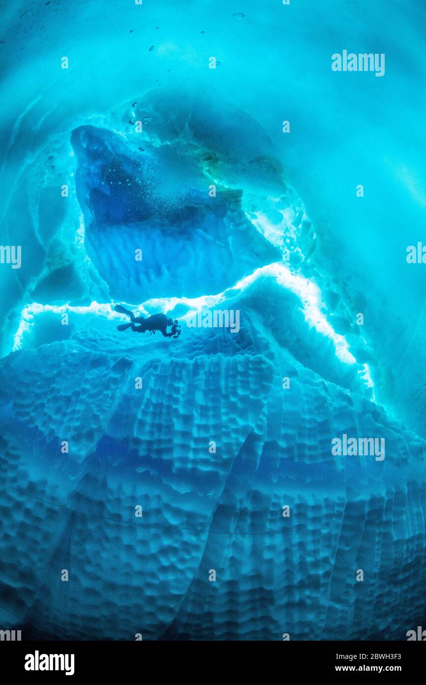 Only in springtime, when the hard winter slowly subsides, are the ice ...