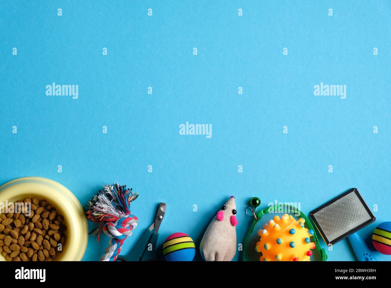 Flat lay composition with accessories for cat on blue background. Pet ...