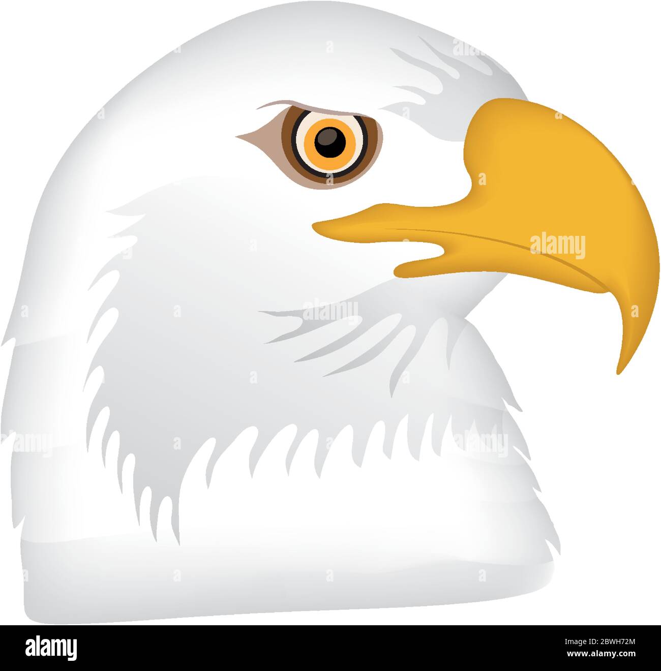 Isolated eagle bird vector design Stock Vector Image & Art - Alamy