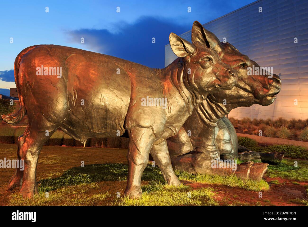 Steer art hi-res stock photography and images - Alamy