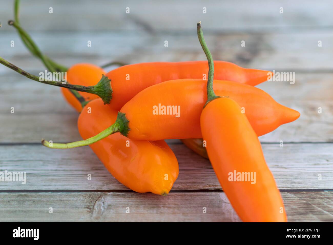 Peruvian taste hi-res stock photography and images - Alamy