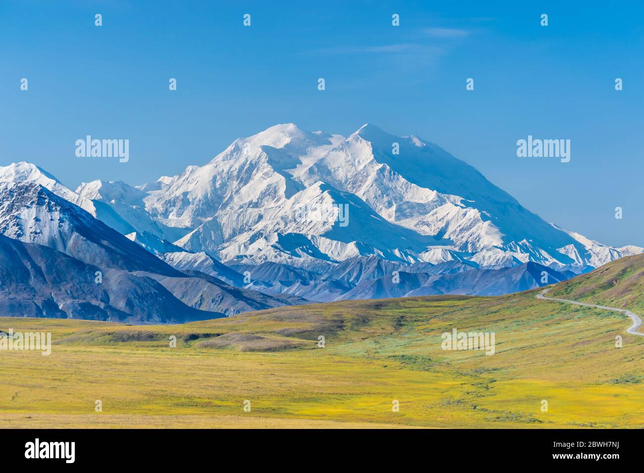 Landscape in Denali National park and mount Denali, Alaska USA Stock ...