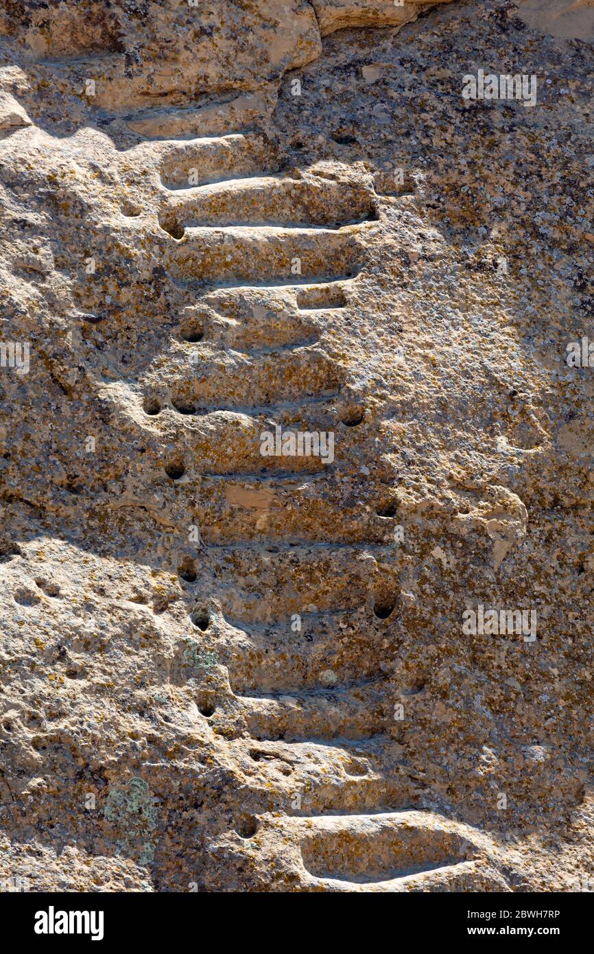 Outside steps and handrail hi-res stock photography and images - Alamy